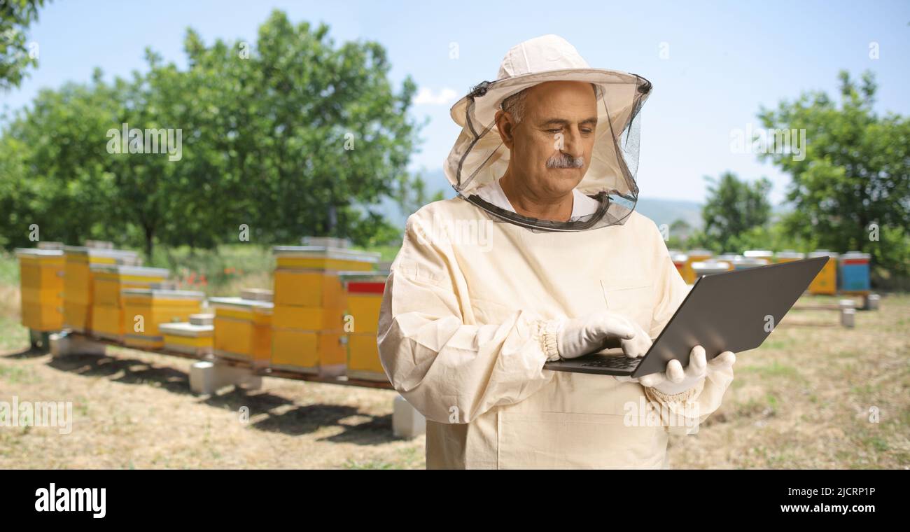 Mature male bee keeper in a uniform using a laptop computer on apiary ...