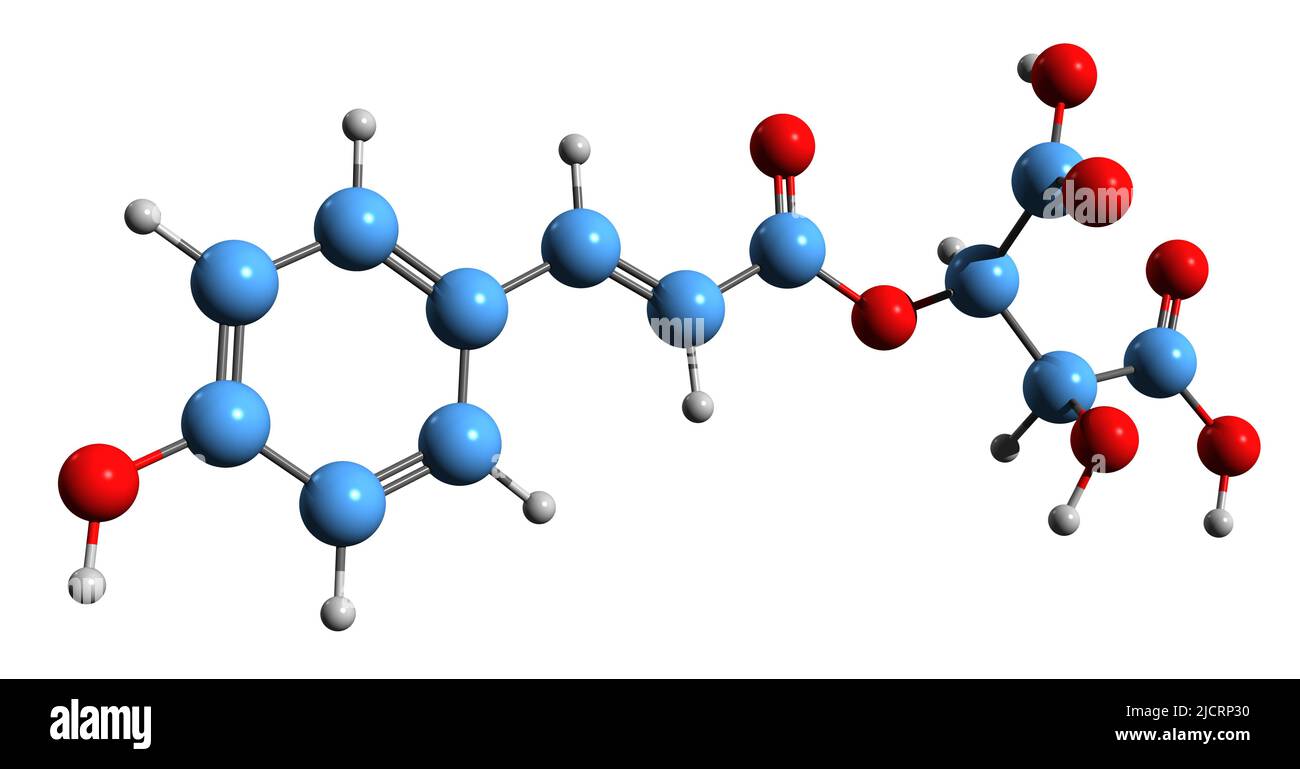 3D image of Coutaric acid skeletal formula - molecular chemical ...