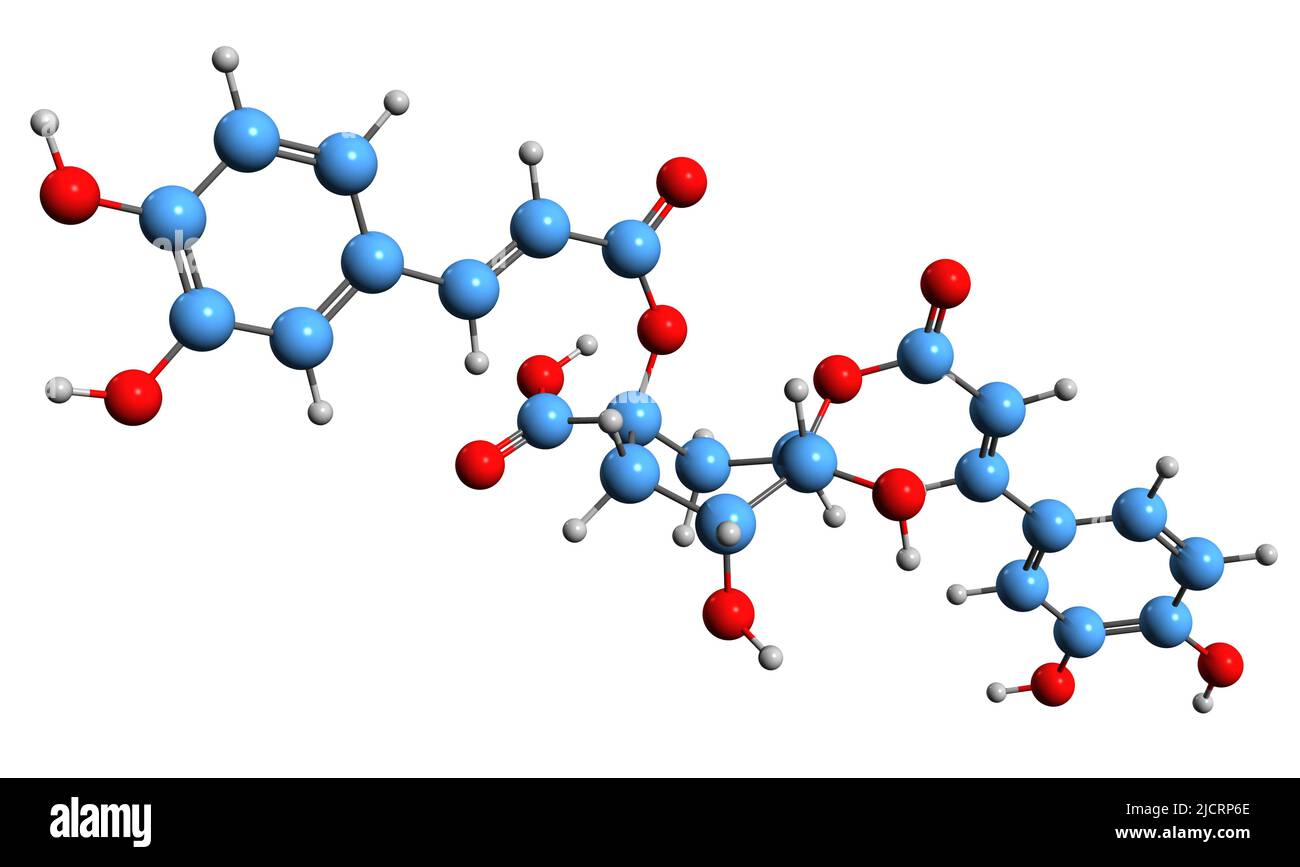 3D image of Cynarine skeletal formula - molecular chemical structure of ...