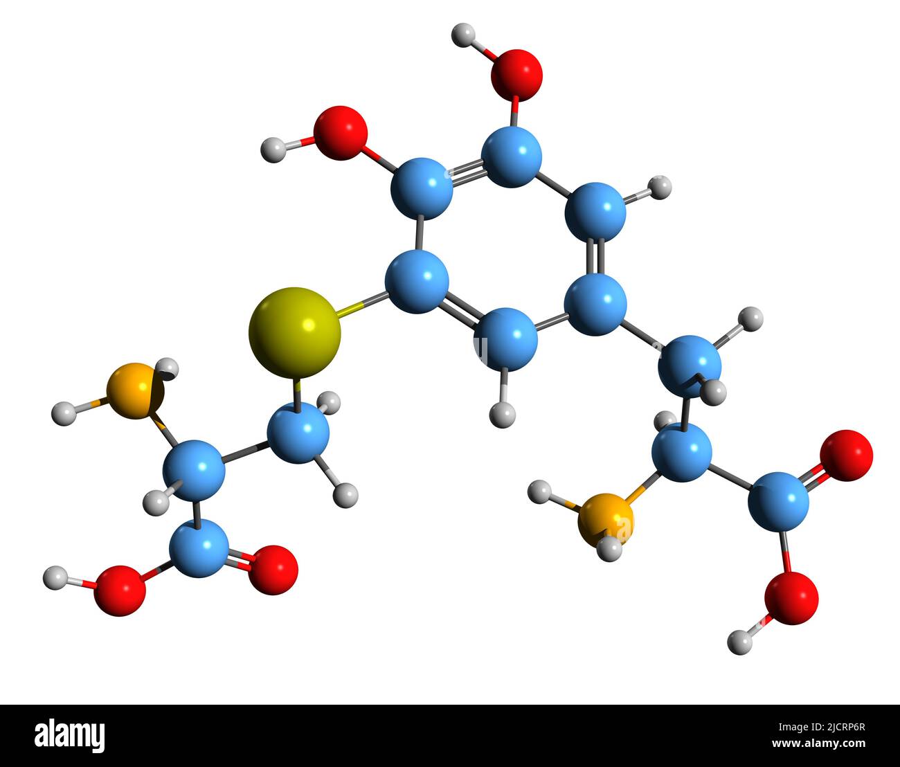3D image of Cysteinyldopa skeletal formula - molecular chemical ...