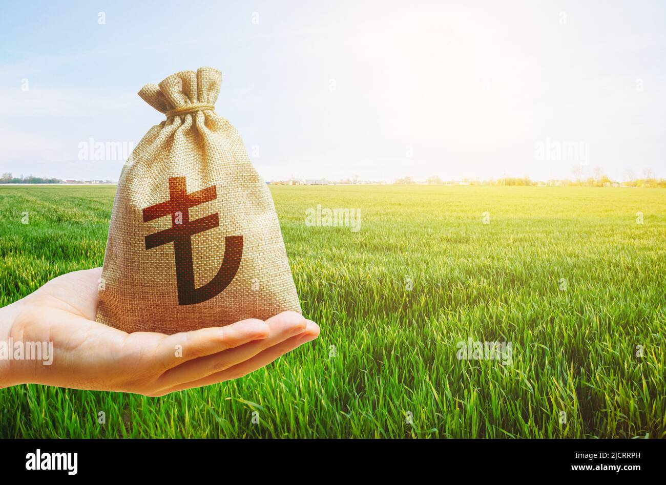 Young green wheat field and offered turkish lira money bag. World food ...