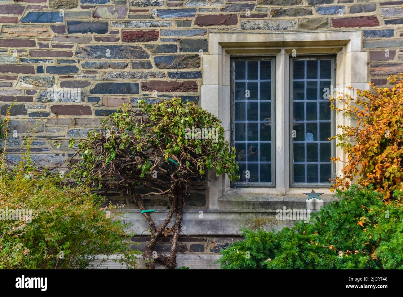 PRINCETON, NJ USA - NOVENBER 12, 2019: Windows and University building ...