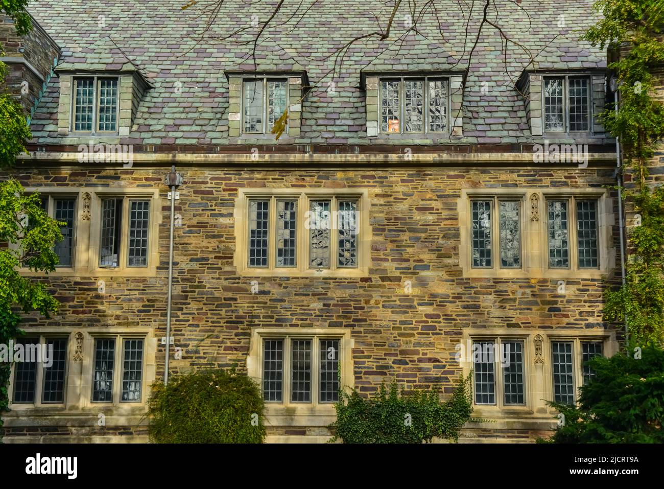 PRINCETON, NJ USA - NOVENBER 12, 2019: Windows and University building ...