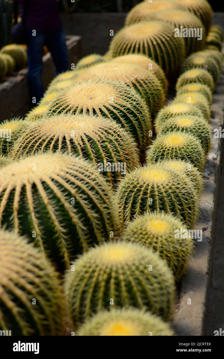 Beautiful wallerpaper hi-res stock photography and images - Alamy