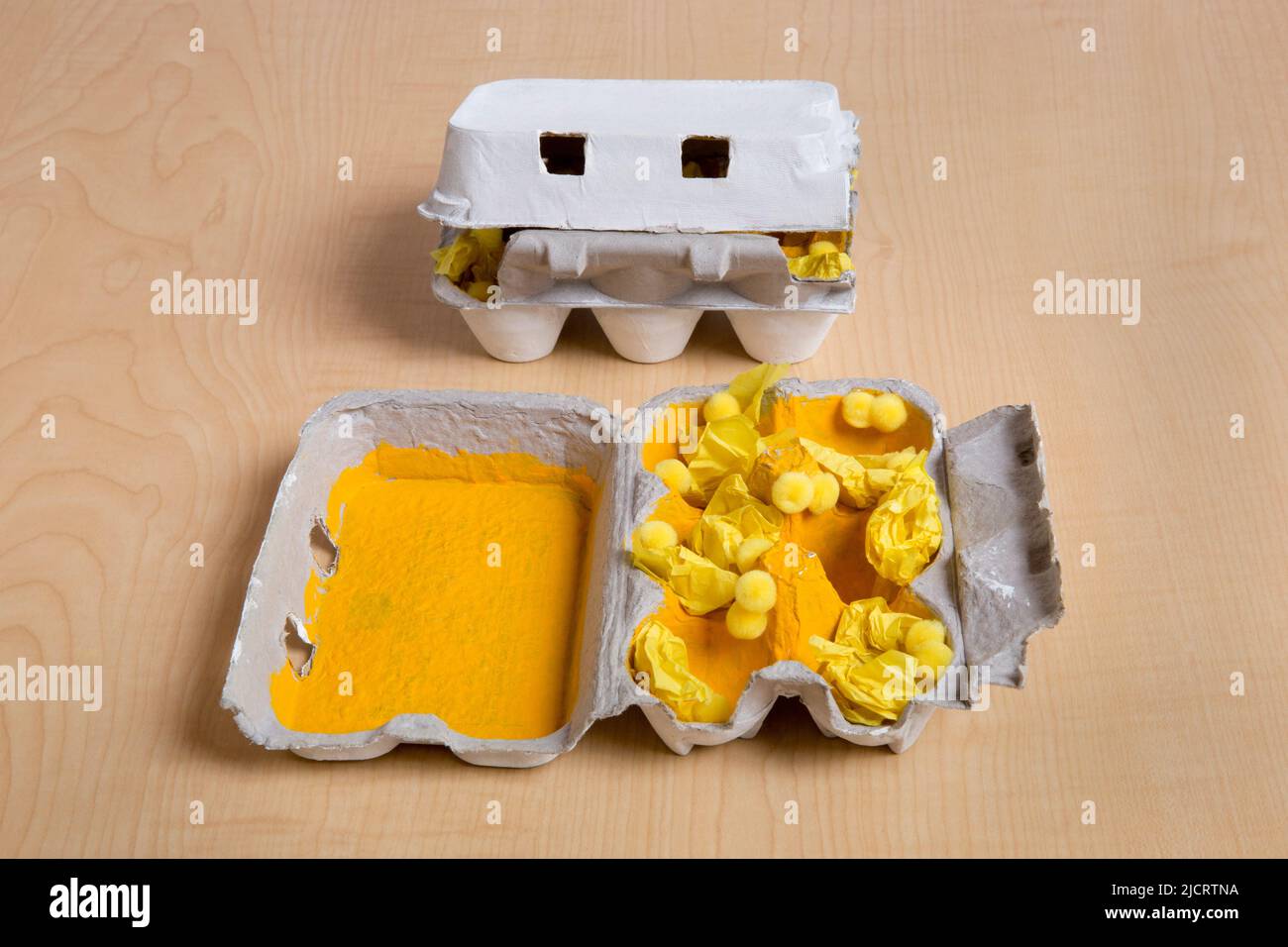 A children’s craft project using an egg carton to depict the interior ...
