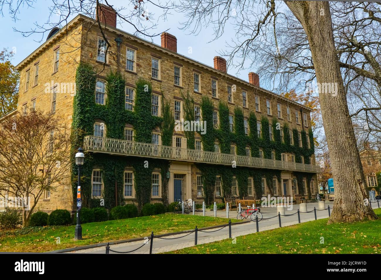 PRINCETON, NJ USA - NOVENBER 12, 2019: creeping plants, ivy on the ...