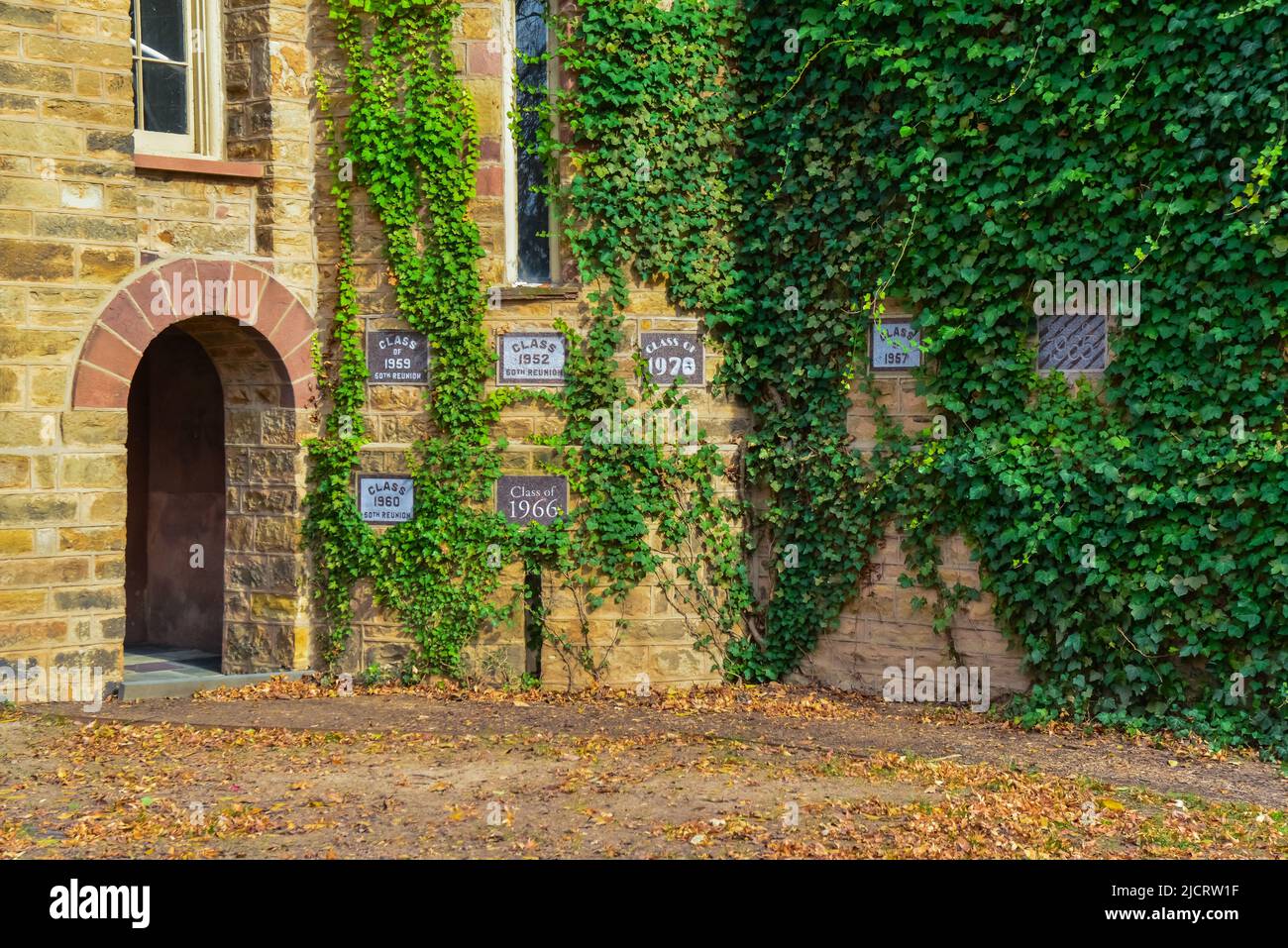 PRINCETON, NJ USA - NOVENBER 12, 2019: creeping plants, ivy on the ...