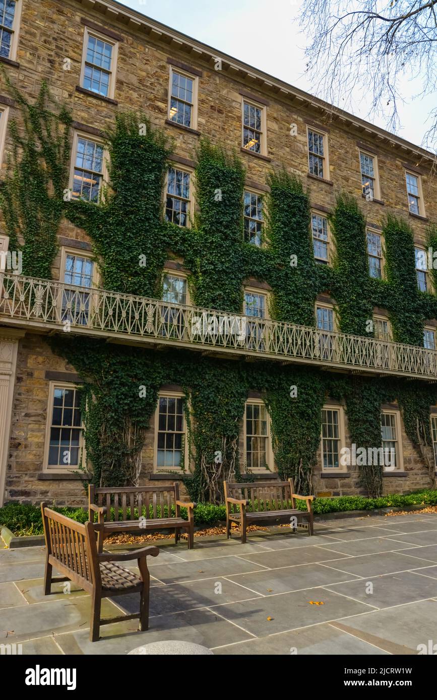 PRINCETON, NJ USA - NOVENBER 12, 2019: creeping plants, ivy on the ...