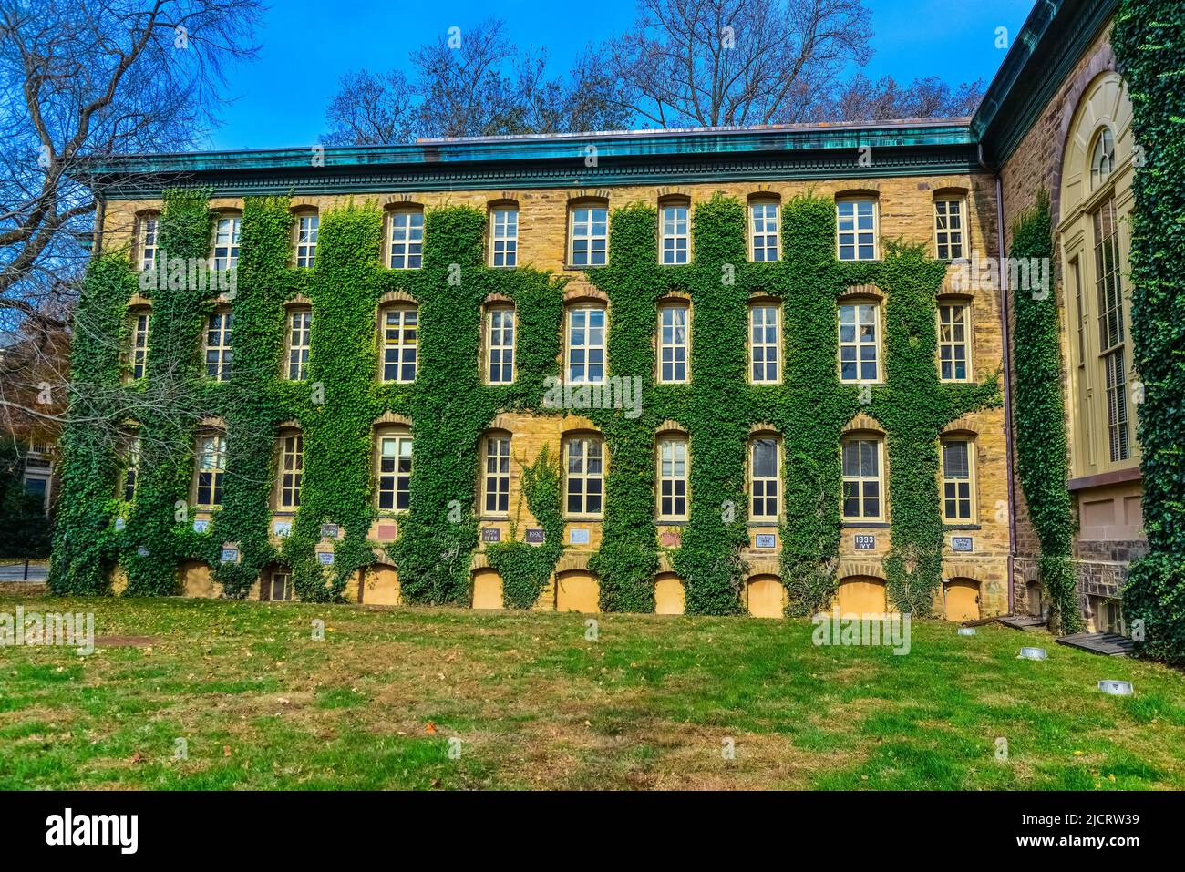 PRINCETON, NJ USA - NOVENBER 12, 2019: creeping plants, ivy on the ...