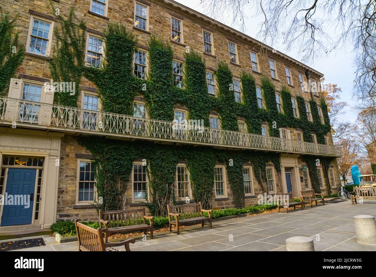 PRINCETON, NJ USA - NOVENBER 12, 2019: creeping plants, ivy on the ...