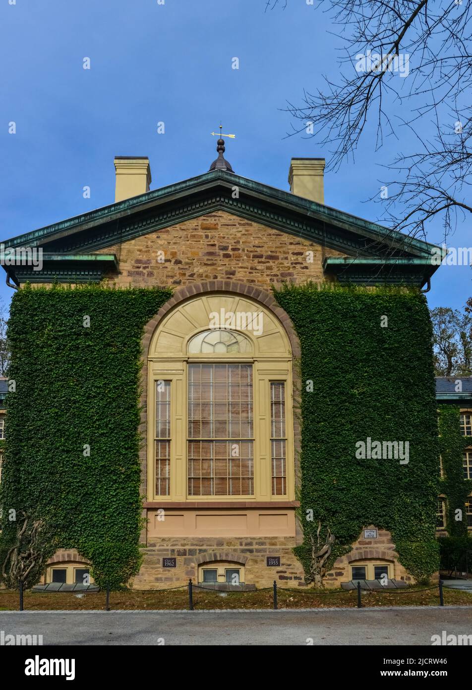 PRINCETON, NJ USA - NOVENBER 12, 2019: creeping plants, ivy on the ...