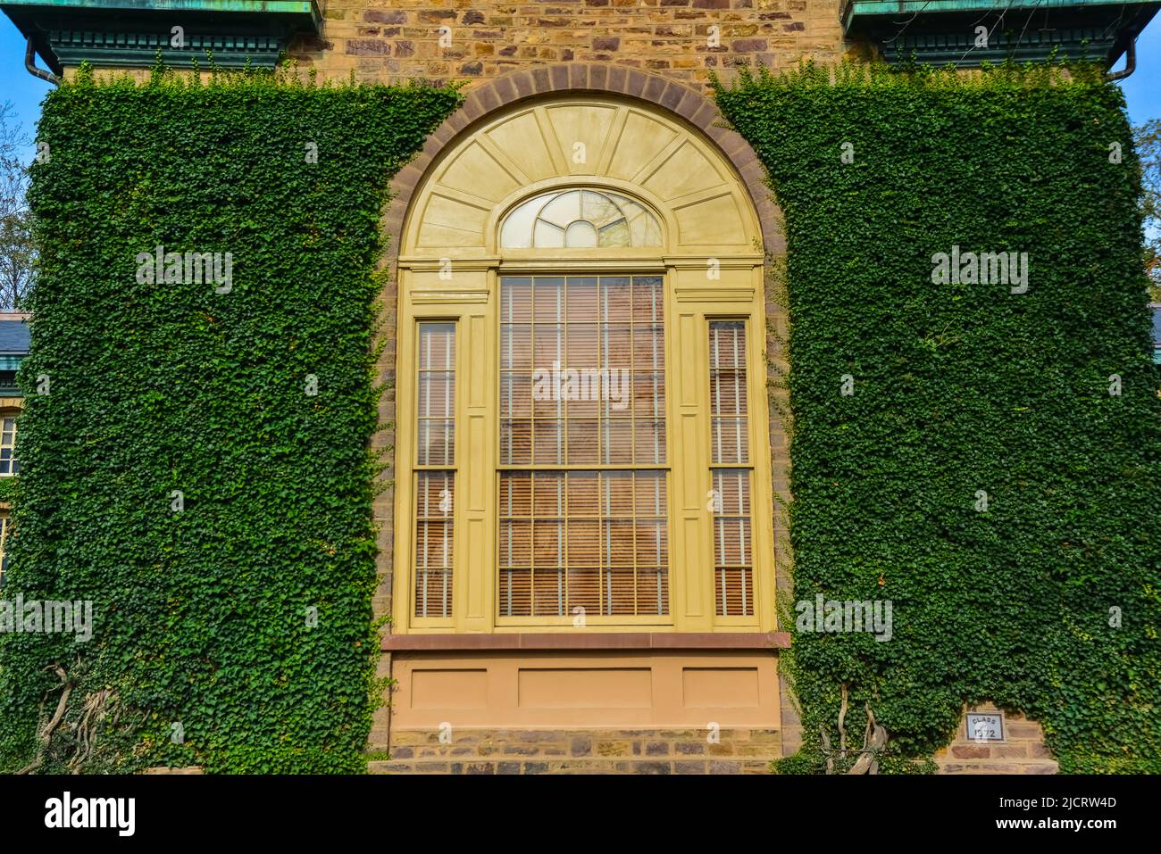 PRINCETON, NJ USA - NOVENBER 12, 2019: creeping plants, ivy on the ...
