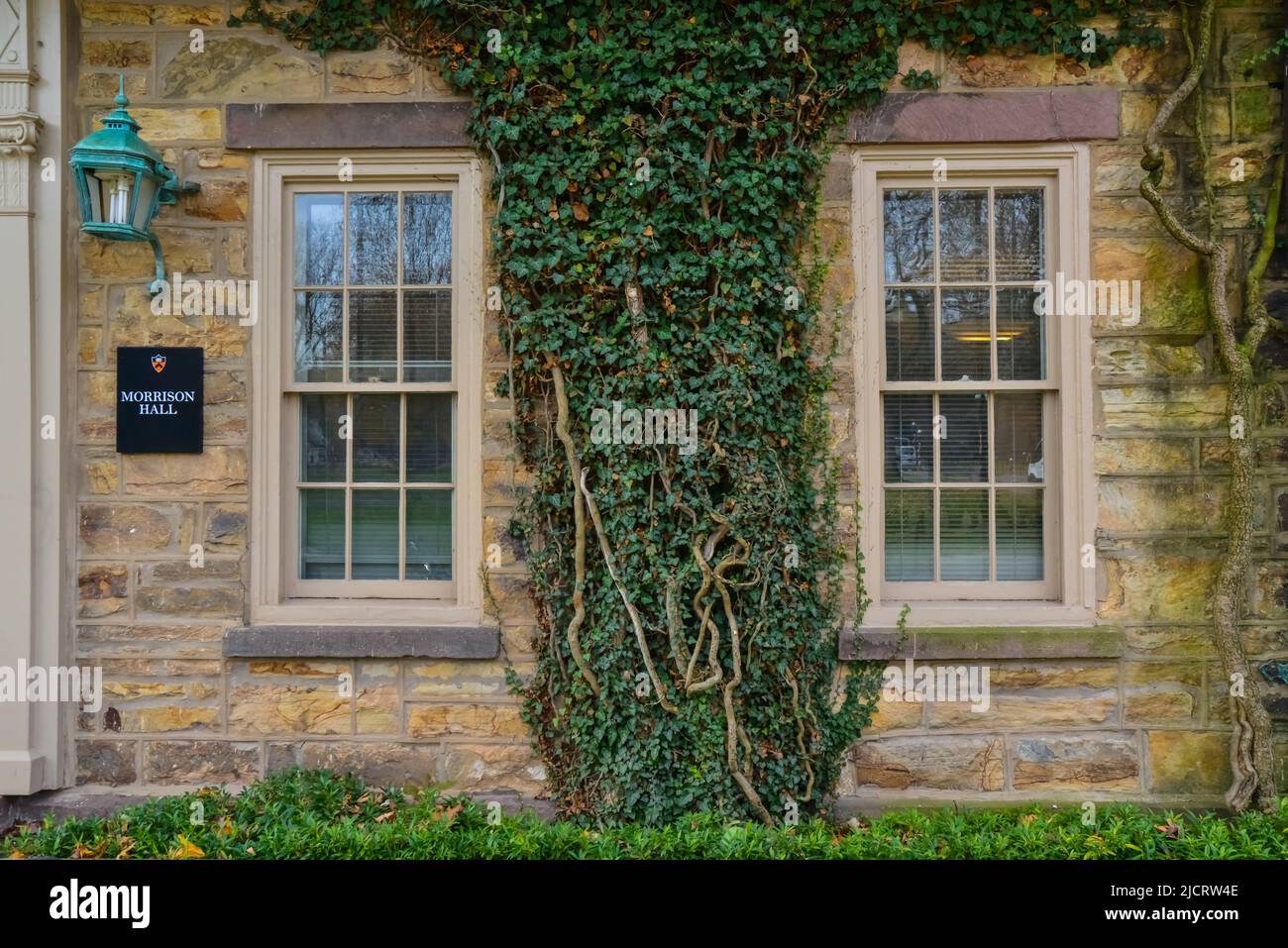 PRINCETON, NJ USA - NOVENBER 12, 2019: creeping plants, ivy on the ...