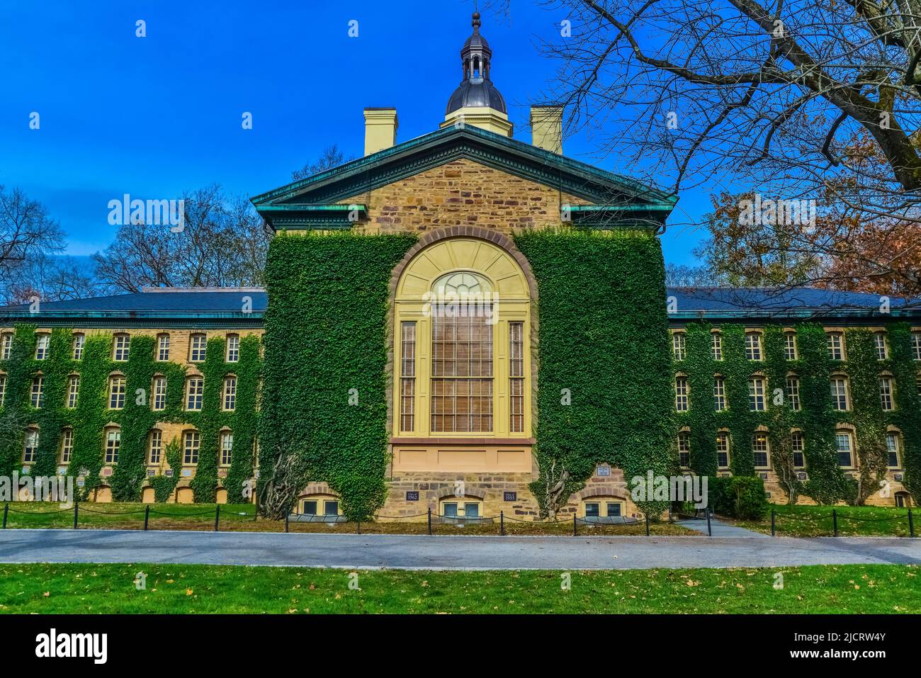 PRINCETON, NJ USA - NOVENBER 12, 2019: creeping plants, ivy on the ...
