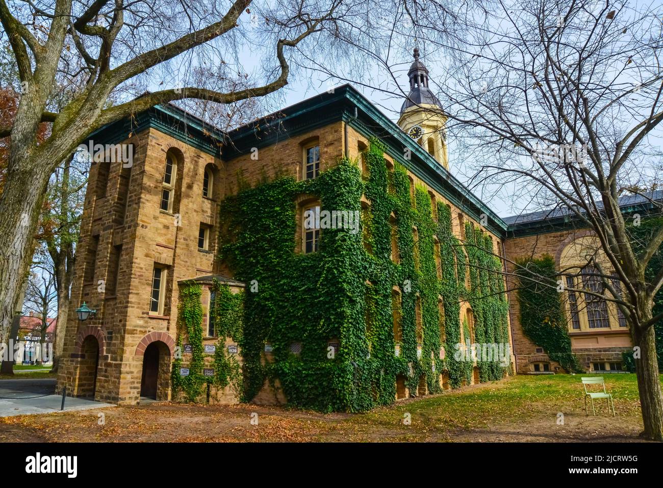 PRINCETON, NJ USA - NOVENBER 12, 2019: creeping plants, ivy on the ...