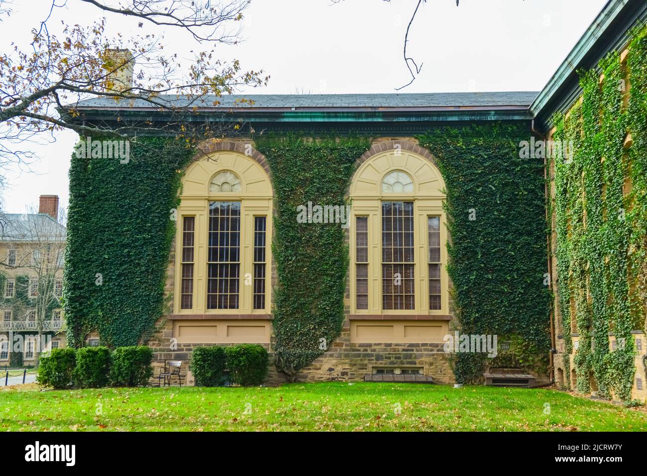 PRINCETON, NJ USA - NOVENBER 12, 2019: creeping plants, ivy on the ...