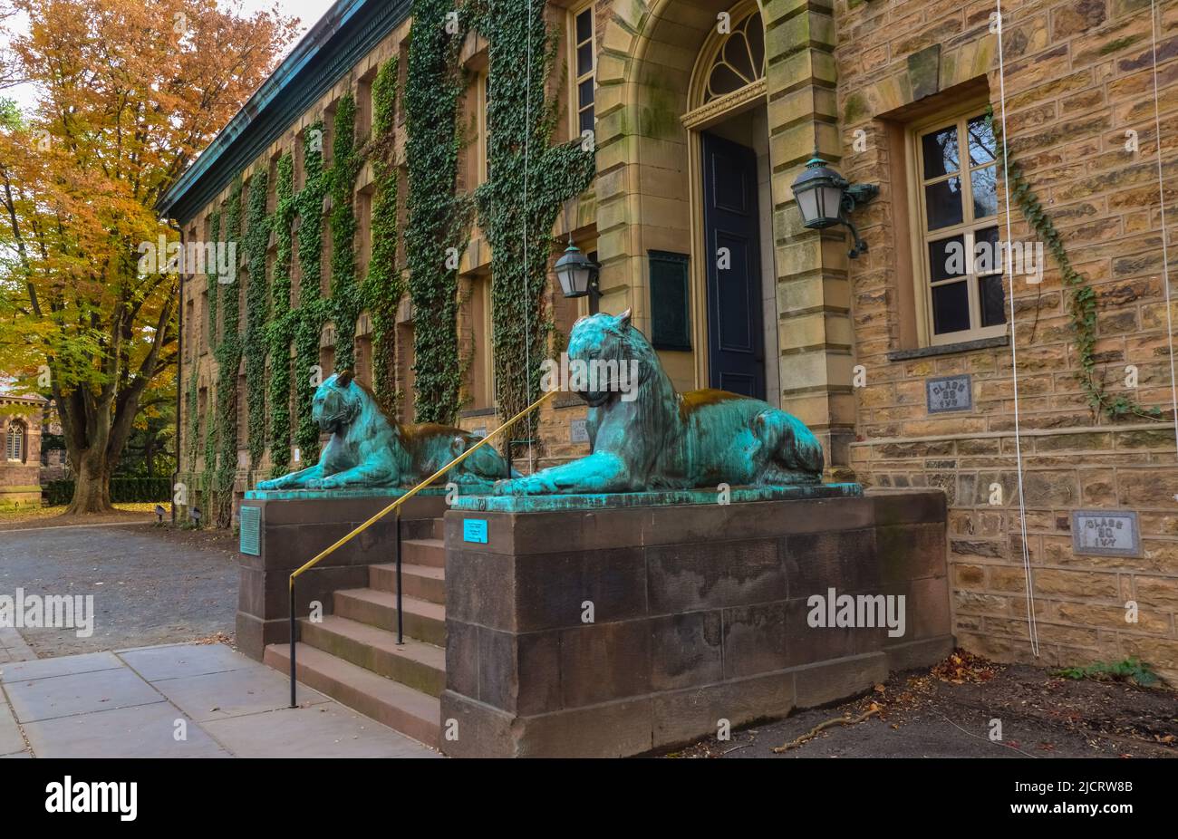 PRINCETON, NJ USA - NOVENBER 12, 2019: The twin tiger statues at the ...