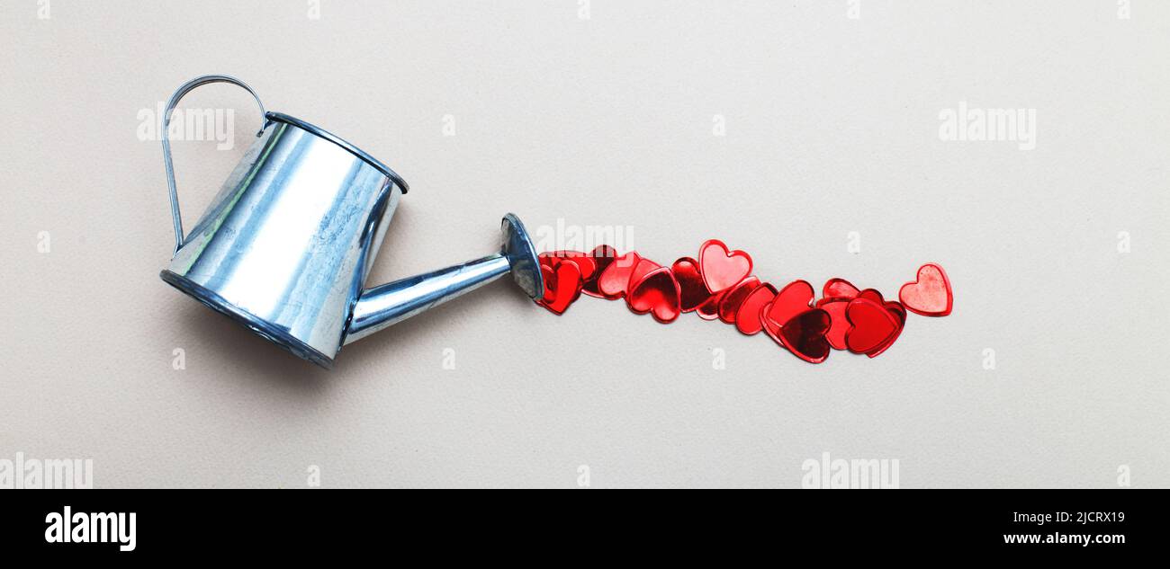 silver watering can flowers pouring hearts on light beige background ...