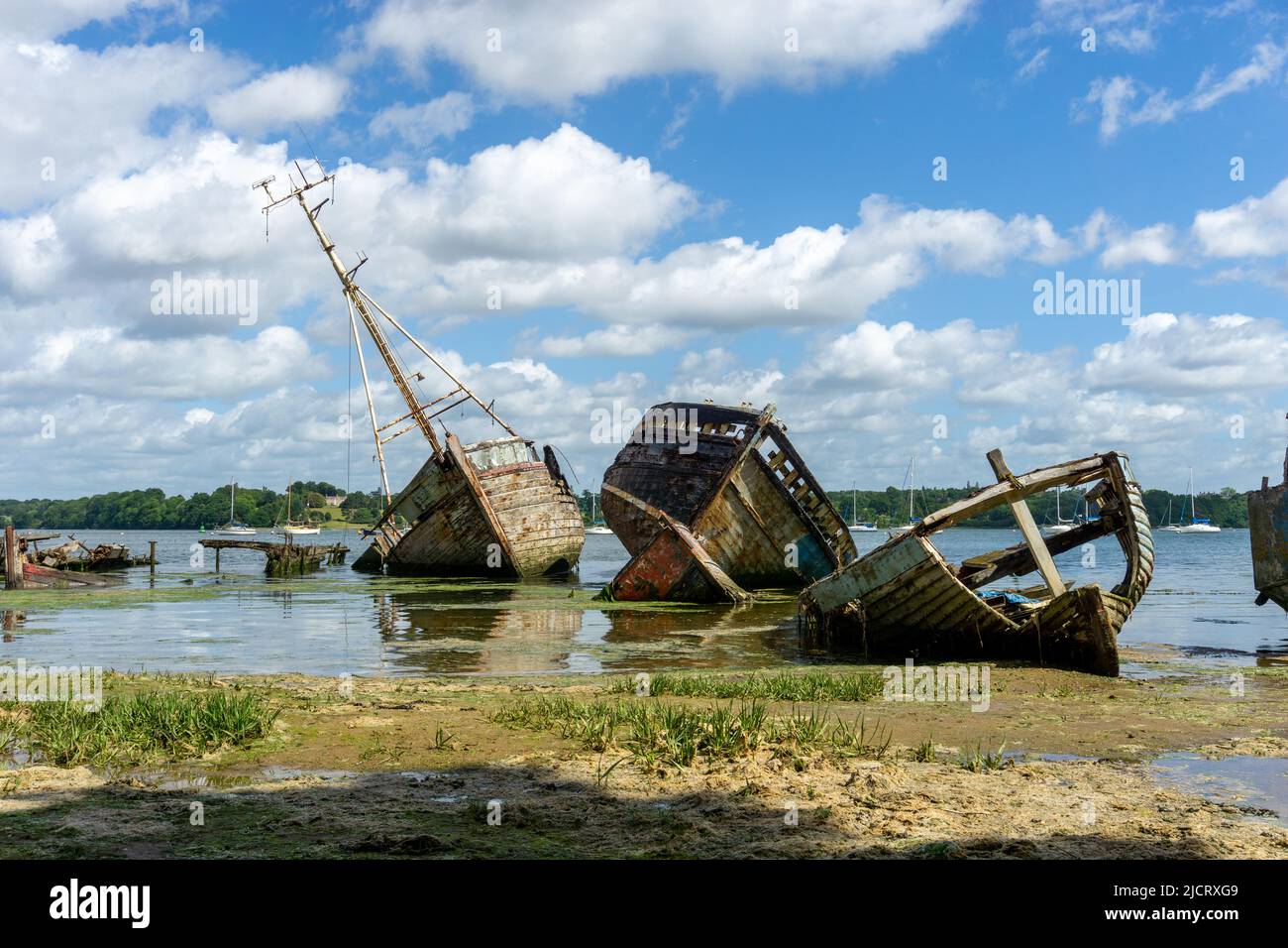 Pin Mill, England - 11 June, 2022: view of the boat graveyard at Pin ...