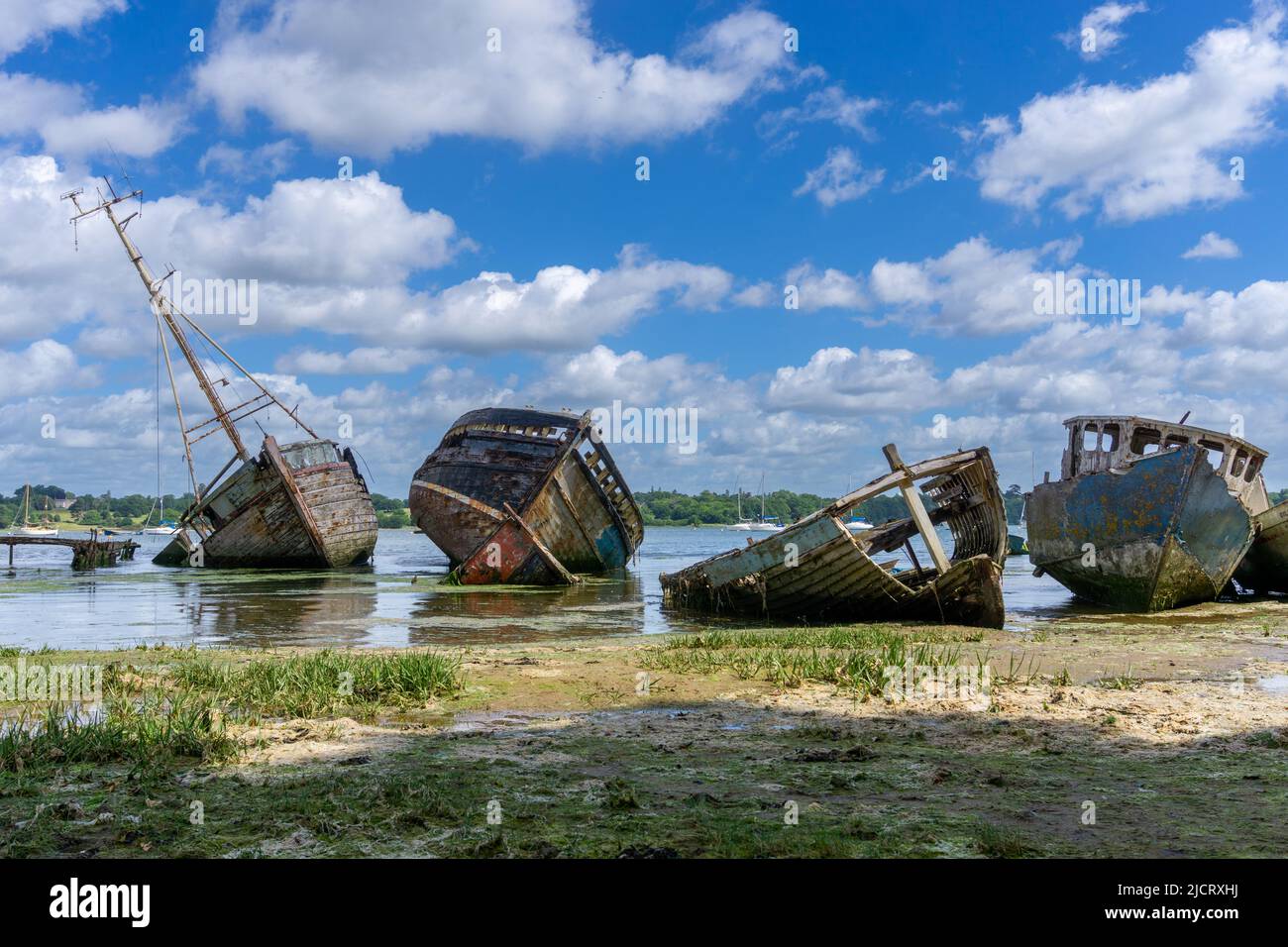 Pin Mill, England - 11 June, 2022: view of the boat graveyard at Pin ...