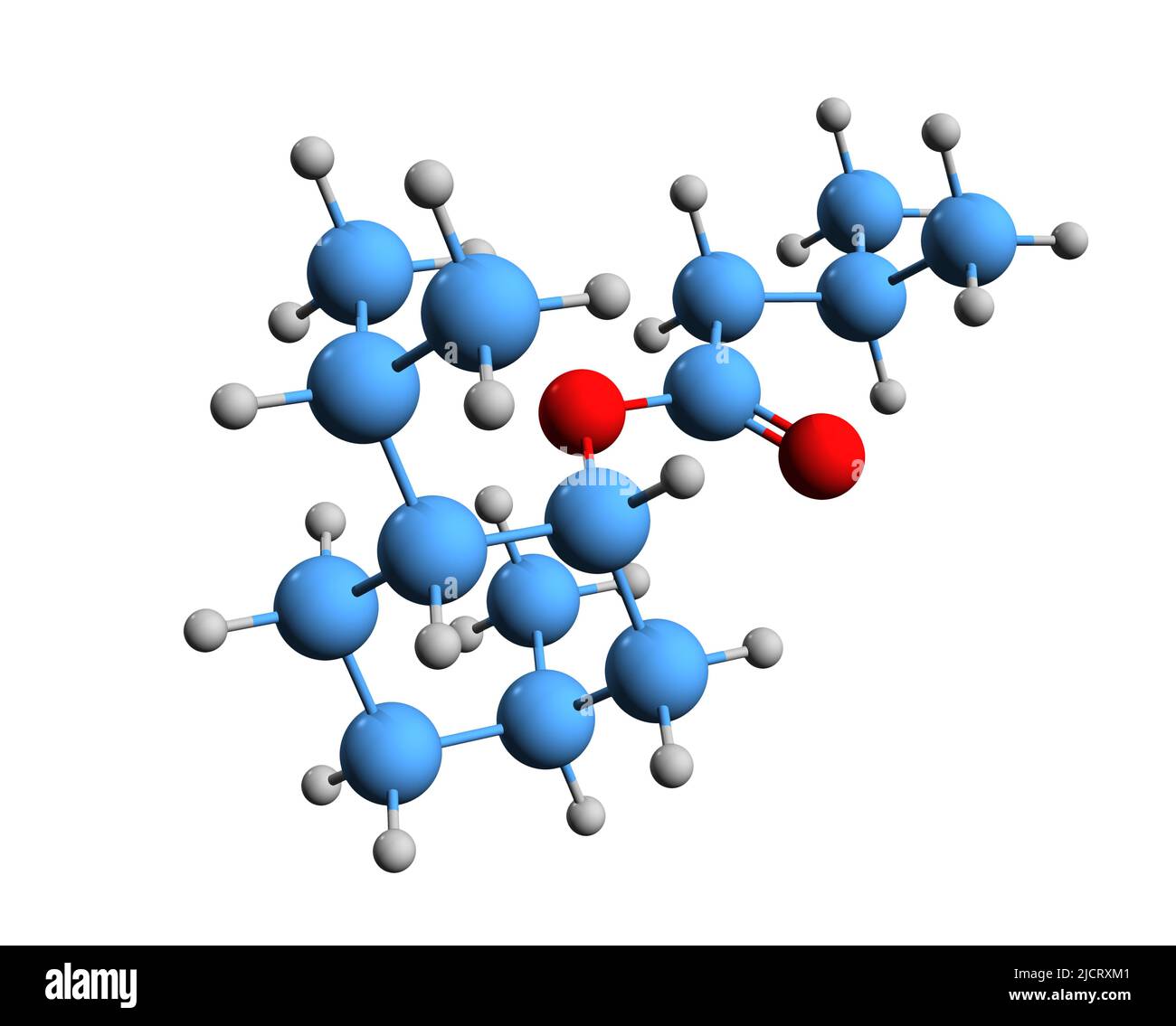 3D image of validol skeletal formula - molecular chemical structure of ...