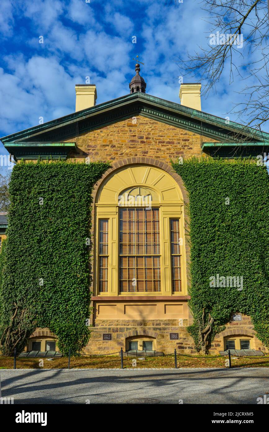 PRINCETON, NJ USA - NOVENBER 12, 2019: green ivy growth covering most ...