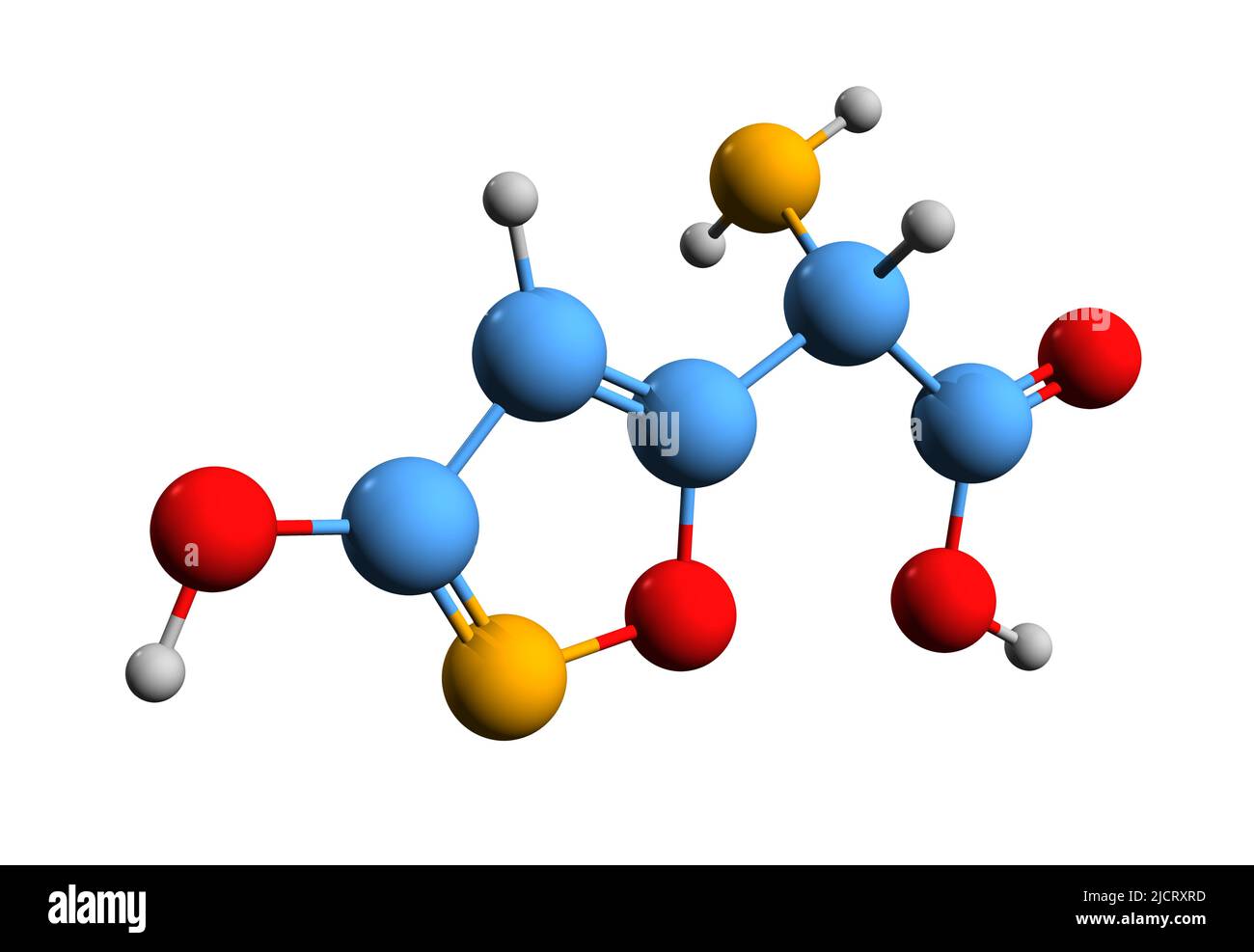 3D image of ibotenic acid skeletal formula - molecular chemical structure of ibotenate isolated ...