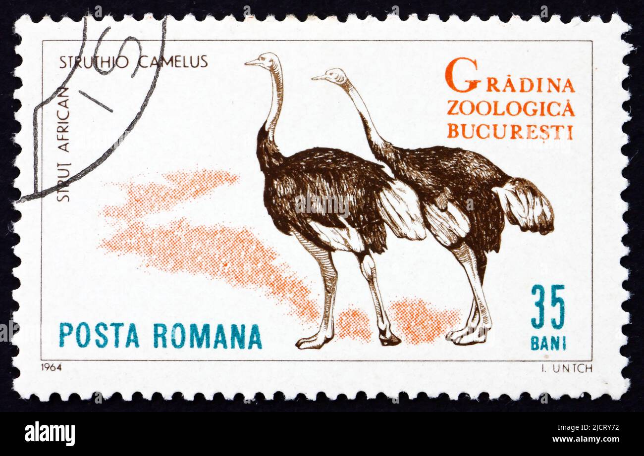ROMANIA - CIRCA 1964: a stamp printed in the Romania shows Ostriches ...