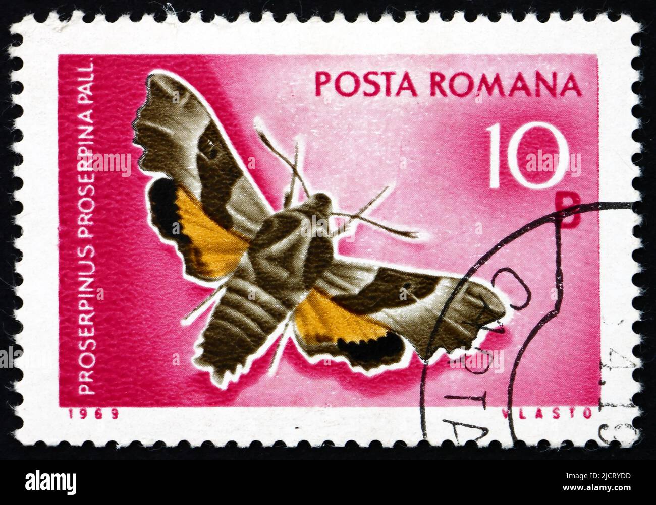 ROMANIA - CIRCA 1969: a stamp printed in the Romania shows Willowherb ...