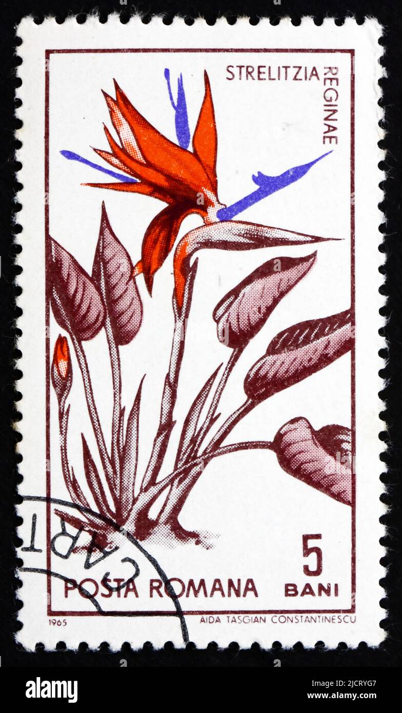 ROMANIA - CIRCA 1965: a stamp printed in the Romania shows Bird of ...