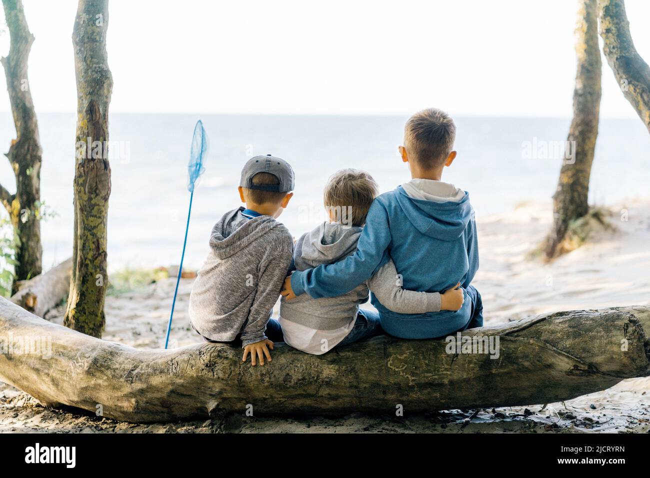 three boys sitting on a log and look at the sea Stock Photo - Alamy