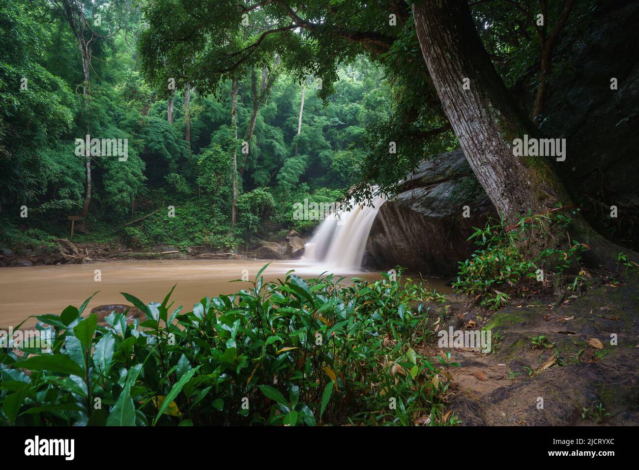 Mae Sa waterfall Near Chiangmai city, Chiang Mai, North in Thailand ...