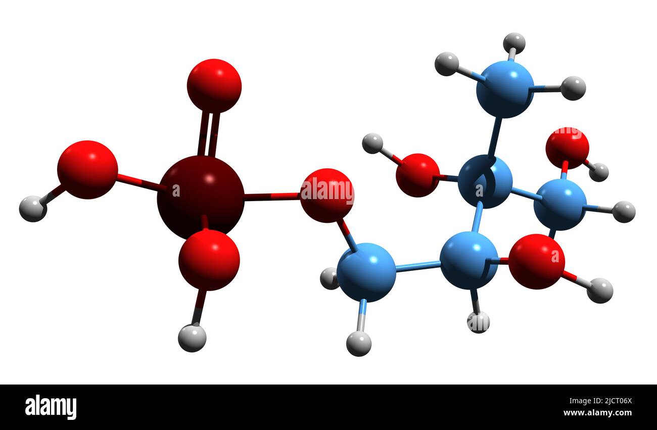 Mep pathway hi-res stock photography and images - Alamy