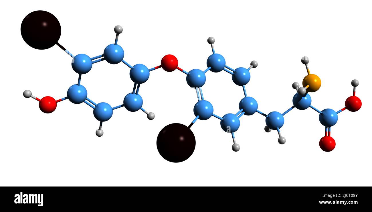 3D image of 3,3-Diiodothyronine skeletal formula - molecular chemical ...