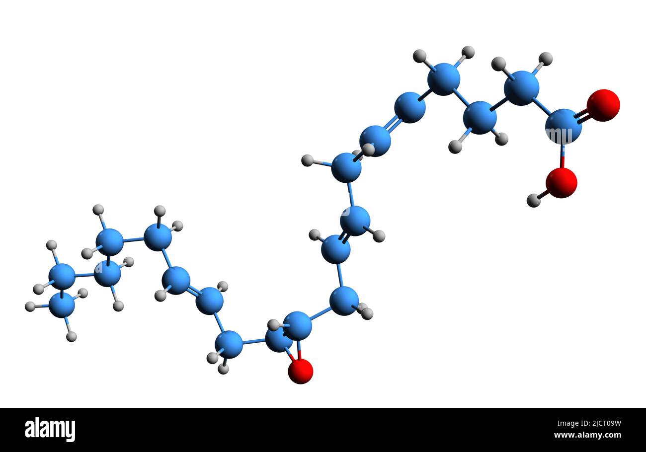 Xenobiotic metabolism hi-res stock photography and images - Alamy