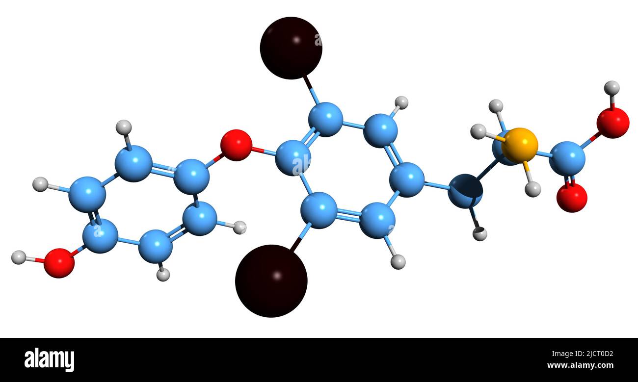 3D image of 3,5-Diiodothyronine skeletal formula - molecular chemical ...