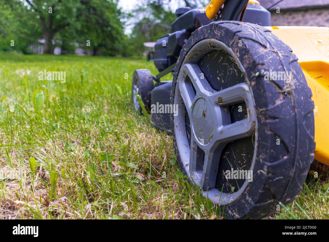 Yellow lawnmower with cut green grass Stock Photo - Alamy