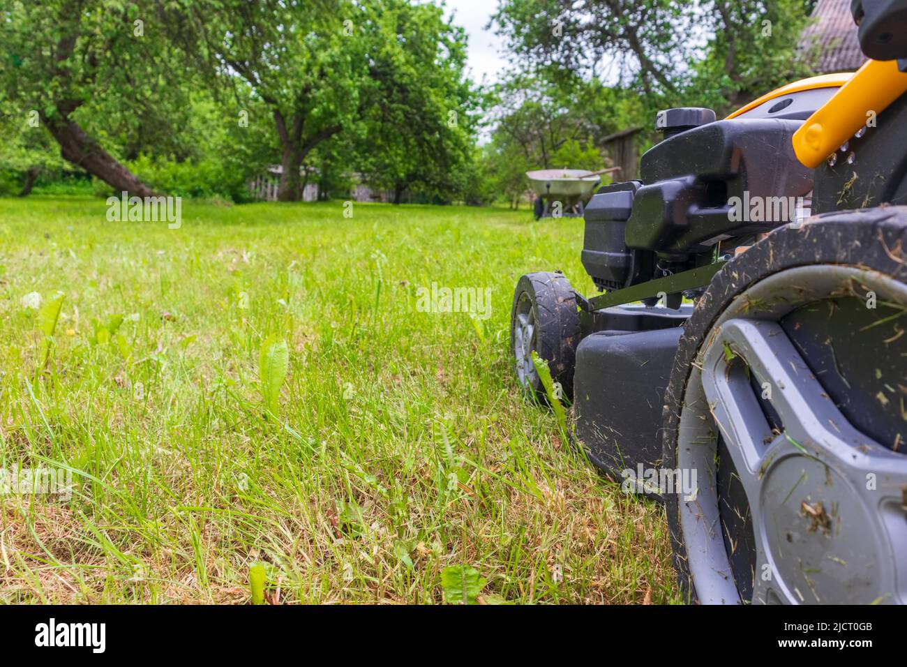 Yellow lawnmower with cut green grass Stock Photo - Alamy
