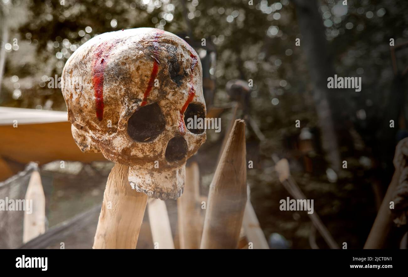 Impaled upper part of the skeleton of a human skull on a wooden pole ...