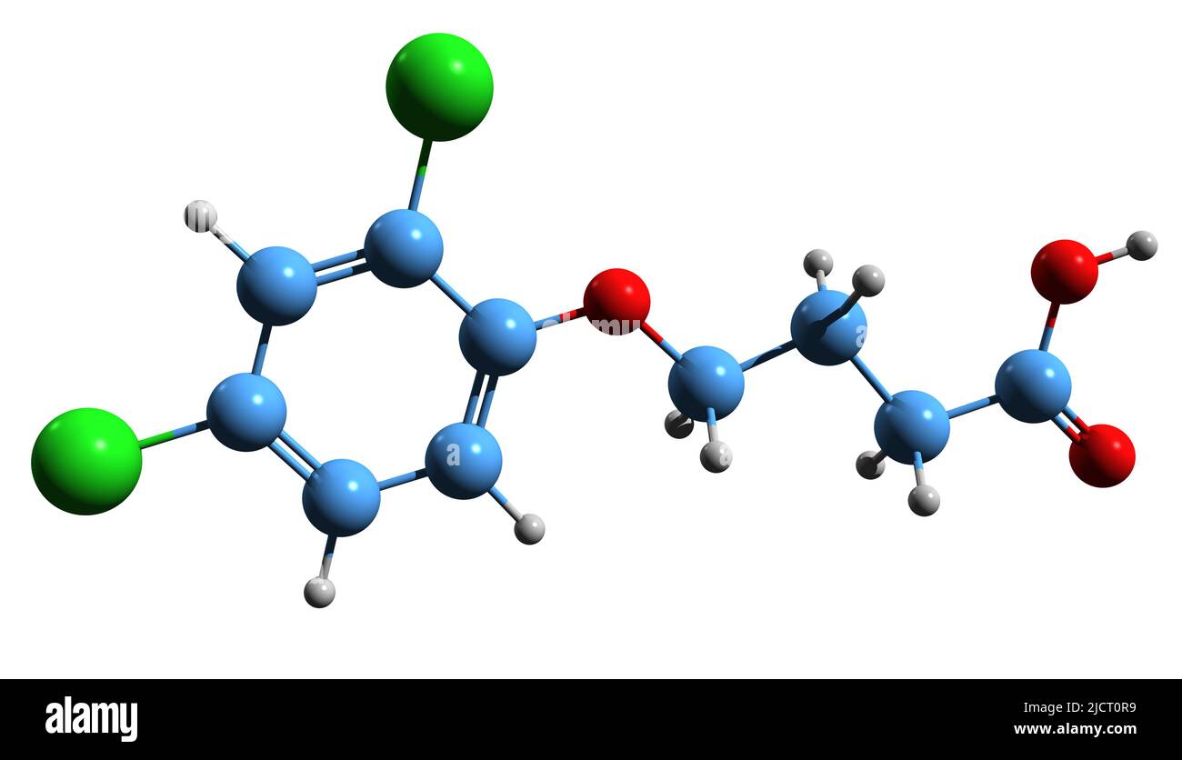 3D image of 4-(2,4-dichlorophenoxy)butyric acid skeletal formula ...