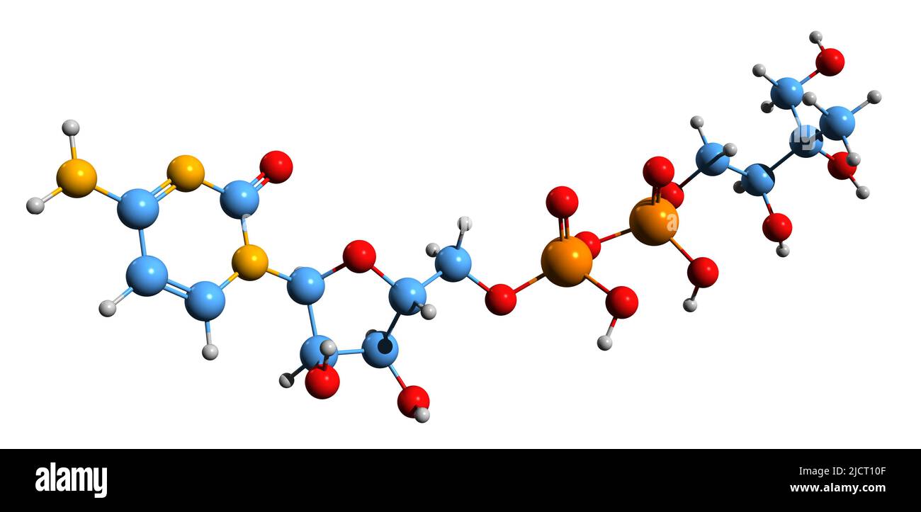 3D image of 4-Diphosphocytidyl-2-C-methylerythritol skeletal formula ...