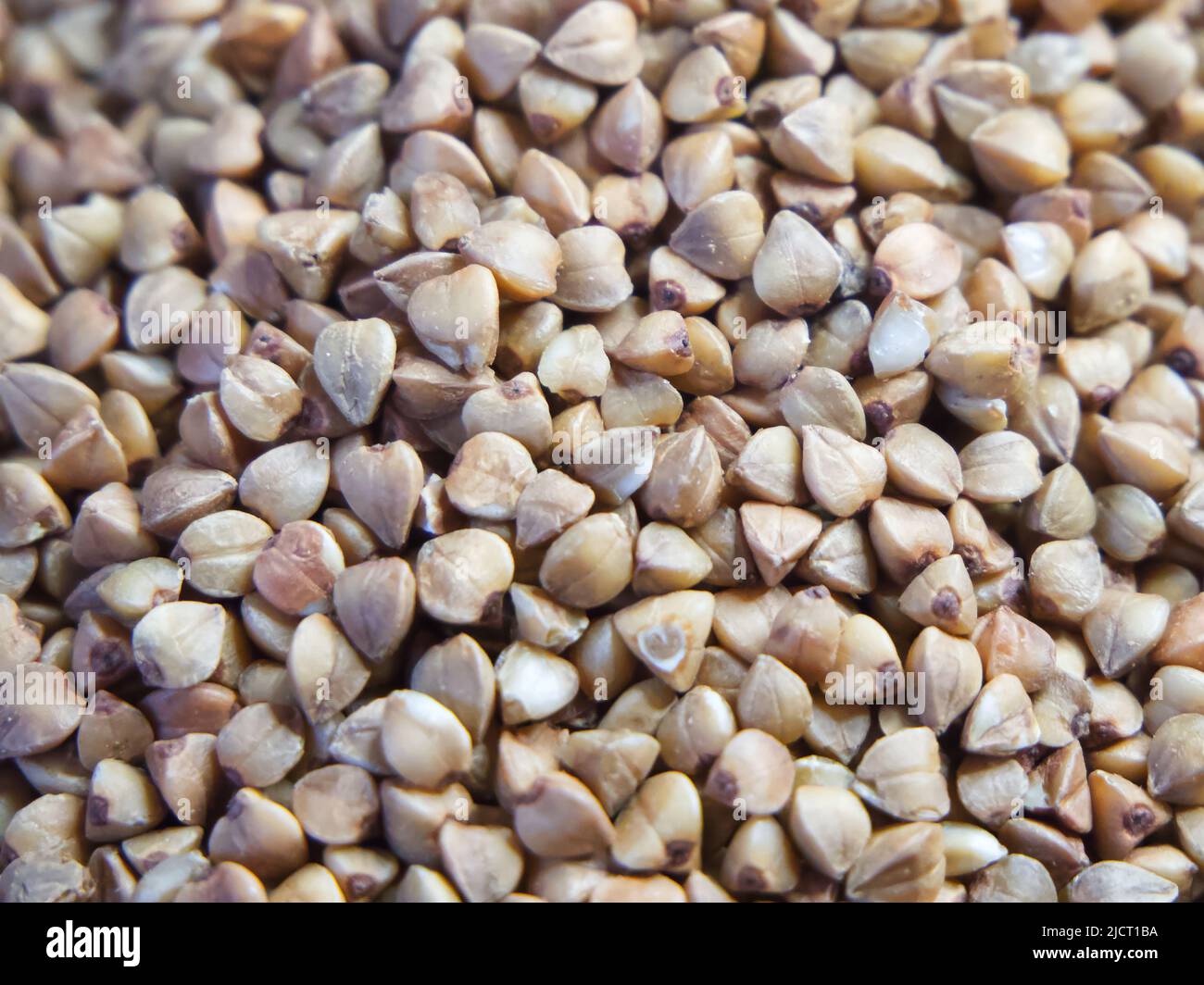 Organic buckwheat groats macro background. Roasted dry buckwheat grains ...