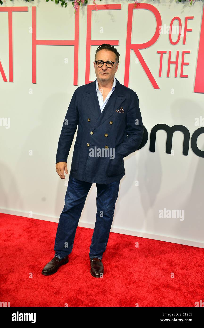 MIAMI, FL - JUNE 14: Andy Garcia attends the "Father Of The Bride ...