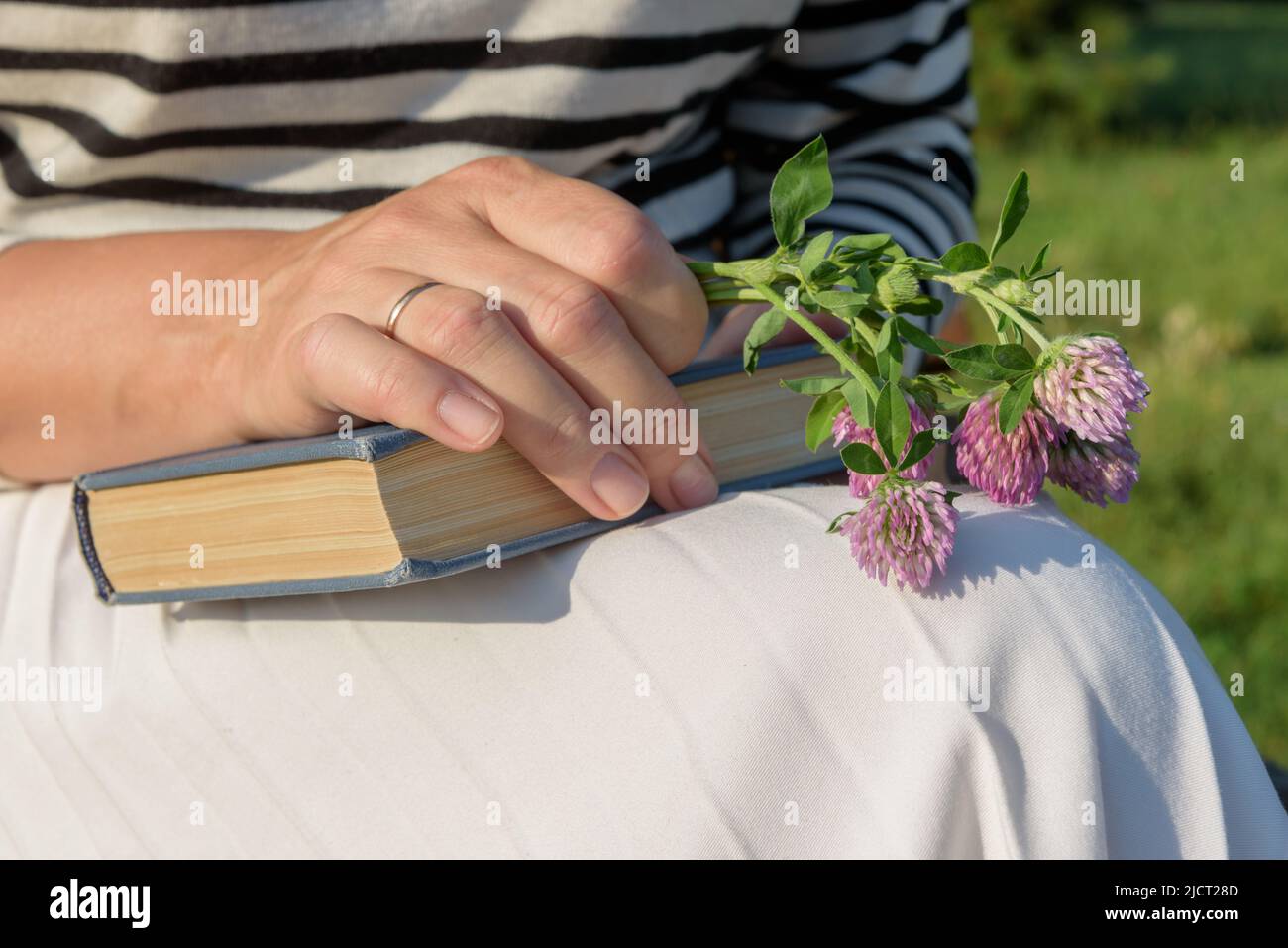 Caucasian clover hi-res stock photography and images - Alamy