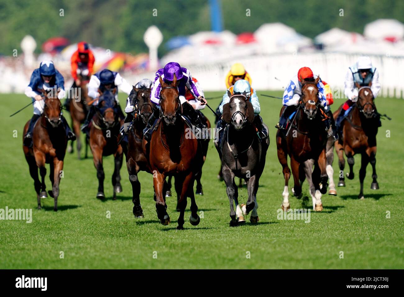Little big bear racecourse hi-res stock photography and images - Alamy