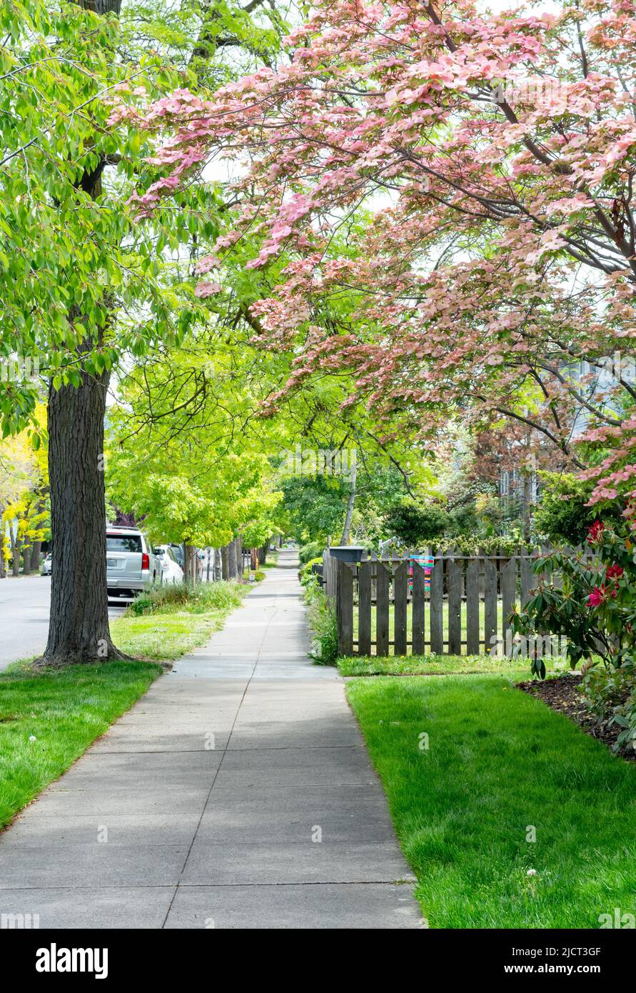 Cute and picturesque residential neighborhood in Ashland, Oregon. Small ...