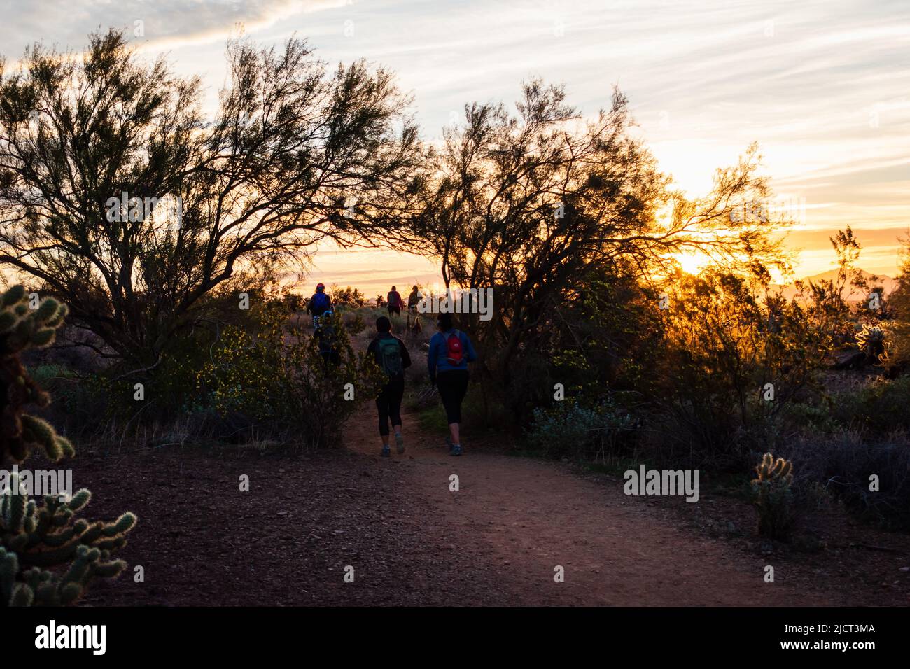 A group of women hiking at Apache Wash Trailhead, Phoenix, Arizona ...