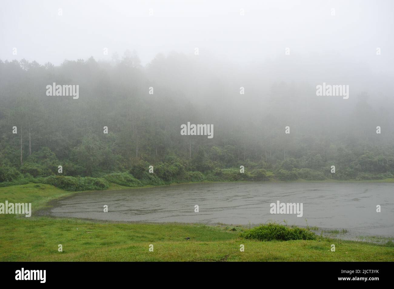Mountain Province, Philippines: ethereal fog enveloping Lake Danum ...