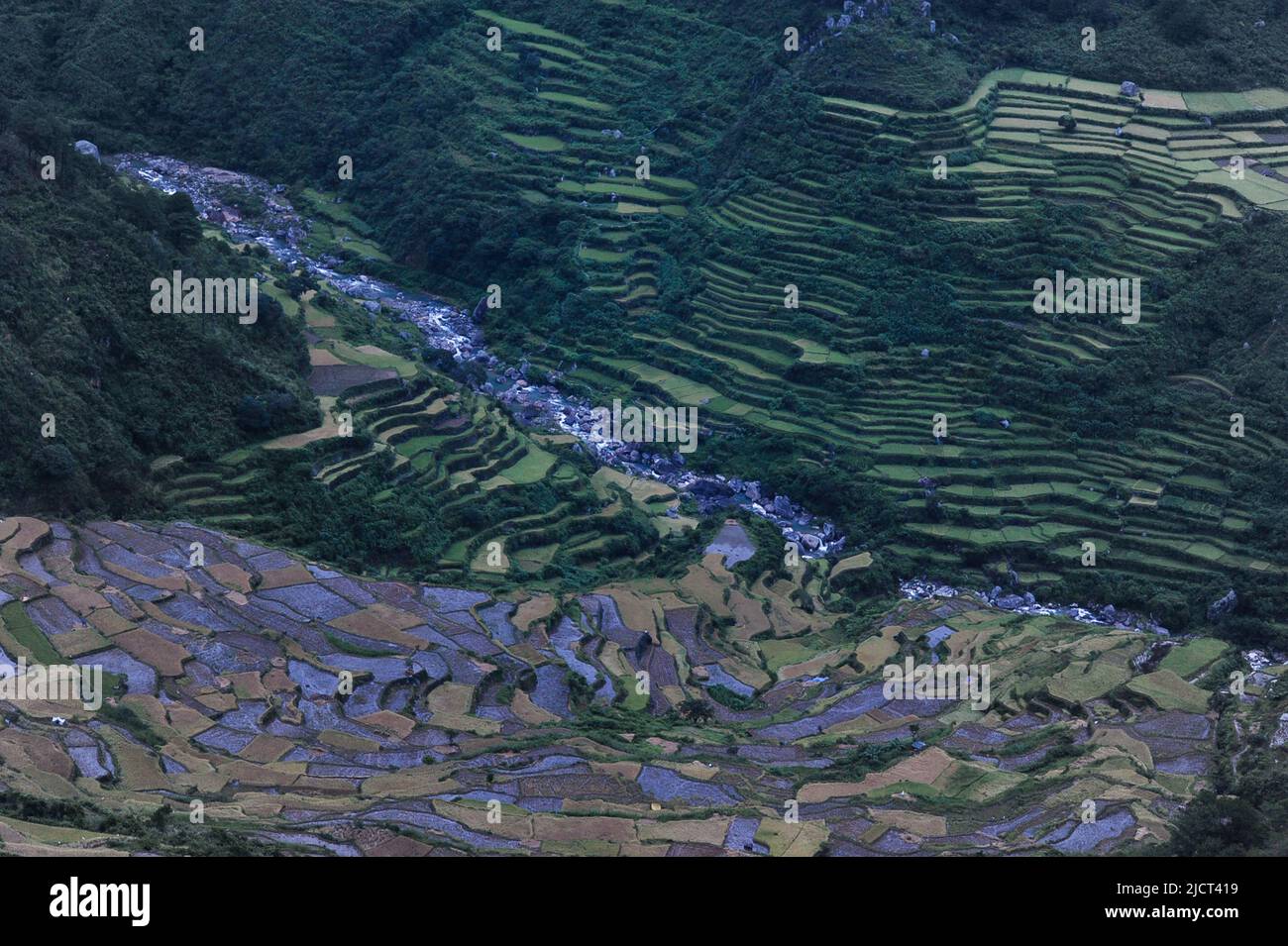 Mountain Province, Philippines: spectacular amphitheater Sagada Rice ...