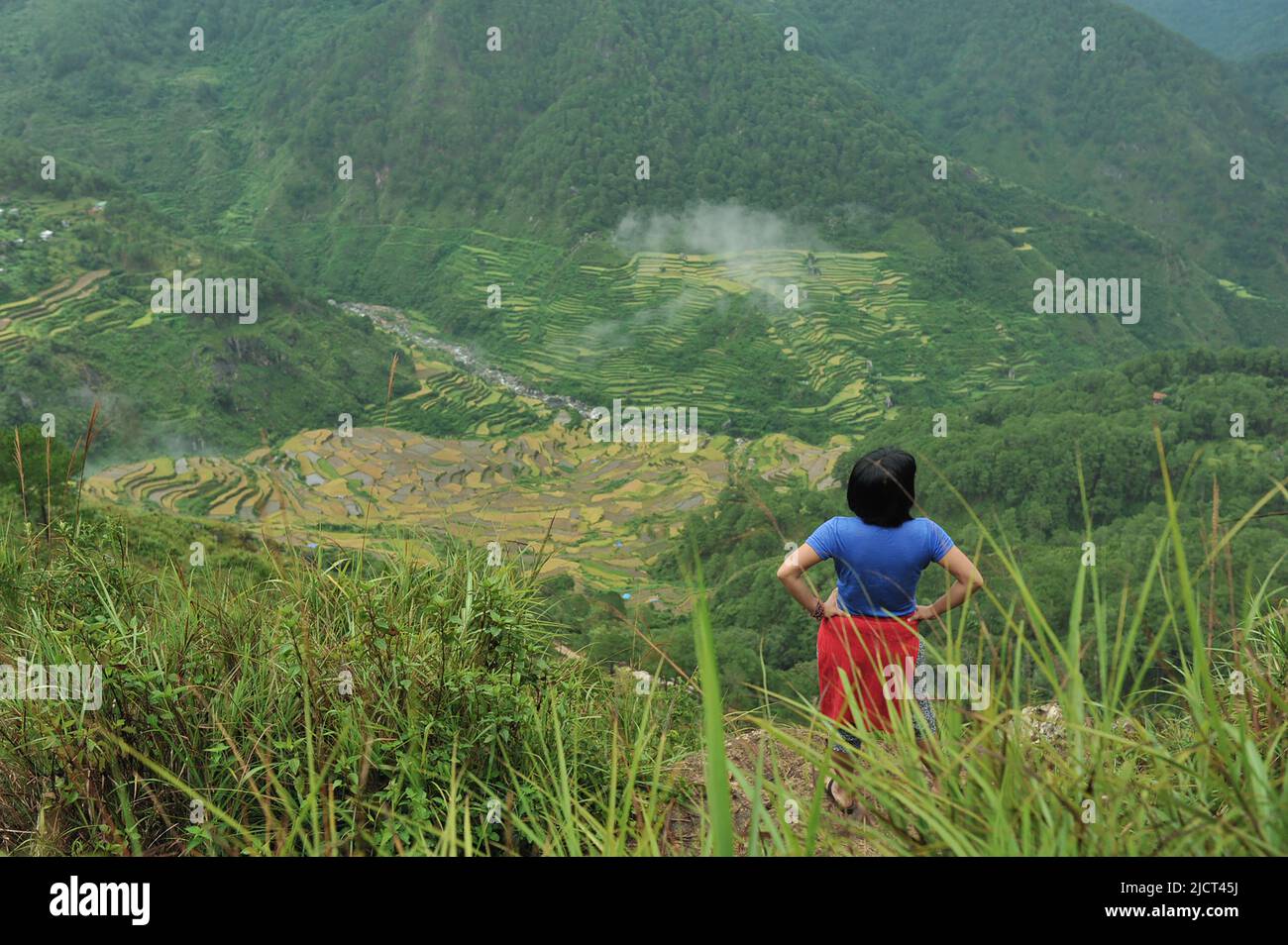 Mountain Province, Philippines: back of woman standing with hands on ...
